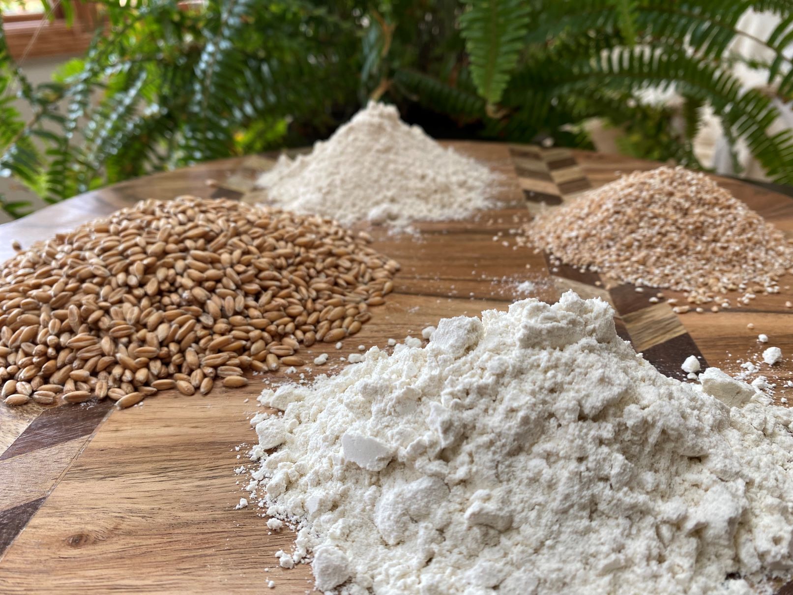 Oberkulmer Spelt Flour and Healing Herbs | Hildegard's Way